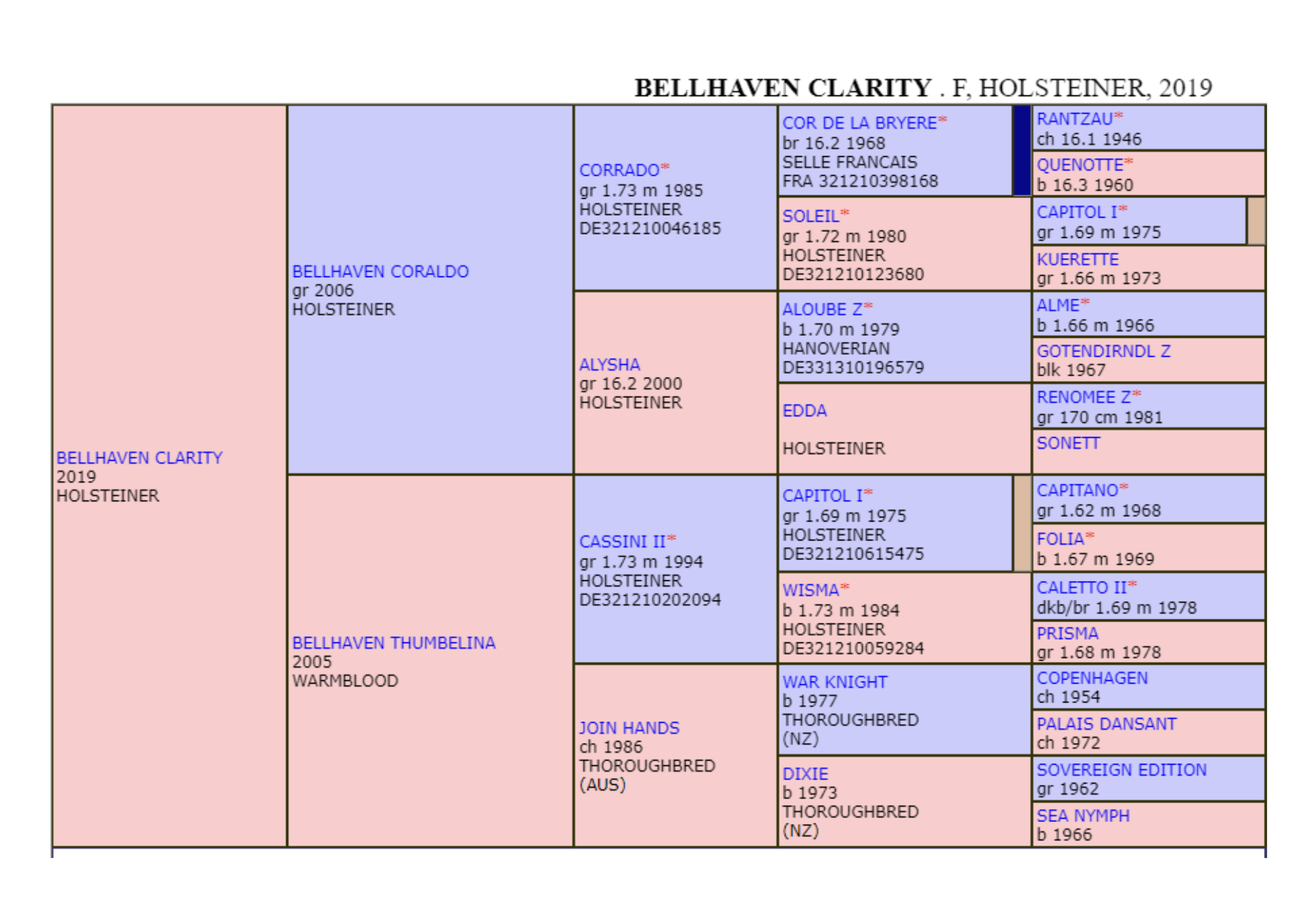 BELLHAVEN CLARITY – Bellhaven Stud