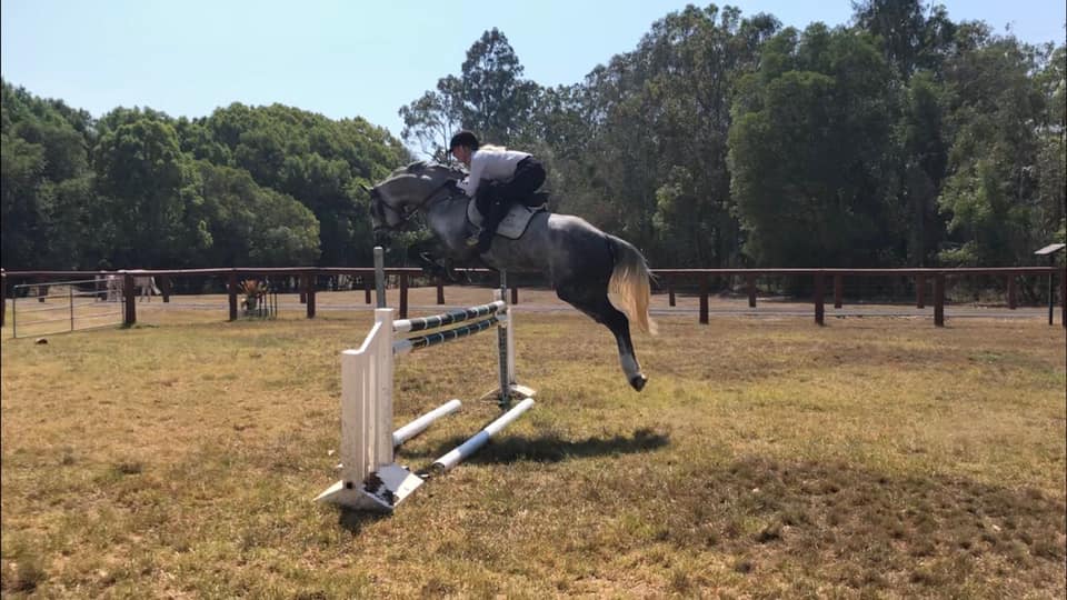 BELLHAVEN ATLANTIS – Bellhaven Stud