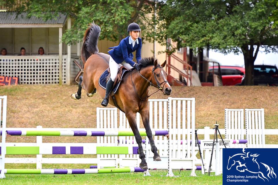 BELLHAVEN SILVERTON – Bellhaven Stud